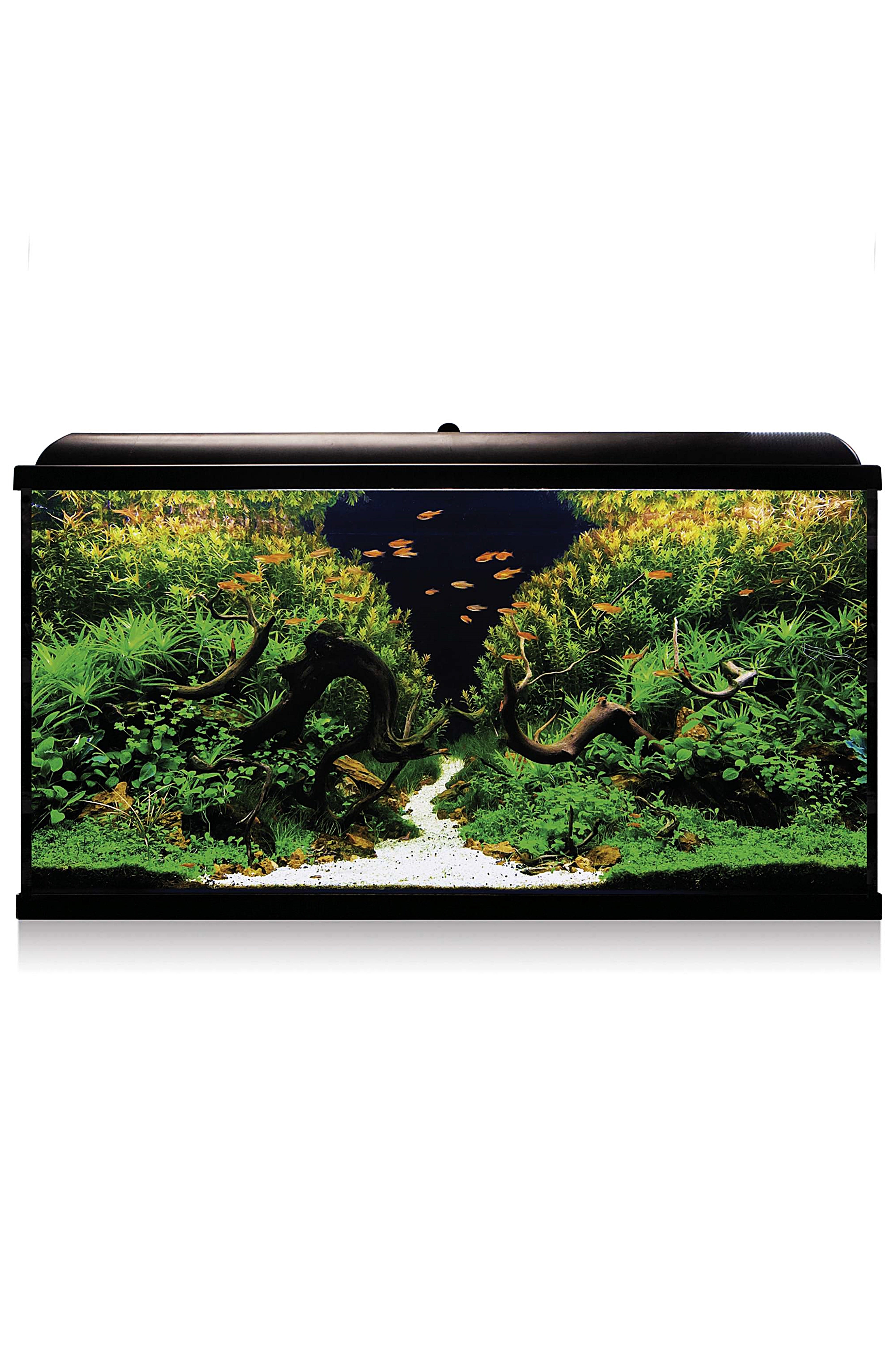 AquaLED PRO 300 - Acuario de 300 litros en Negro – umdale.com